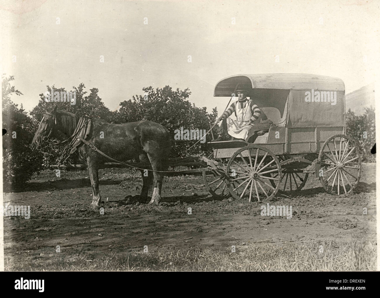 Mobile butchers van hi-res stock photography and images - Alamy