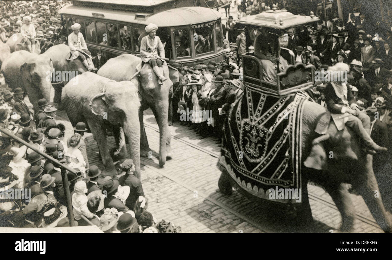 Circus elephants on parade - Ringling Circus, Washington DC Stock Photo ...