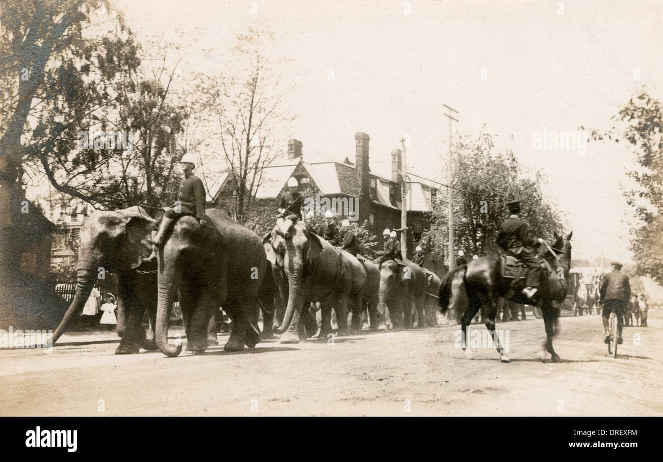 Elephant parade - Ringling Brothers Circus, Washington DC Stock Photo ...