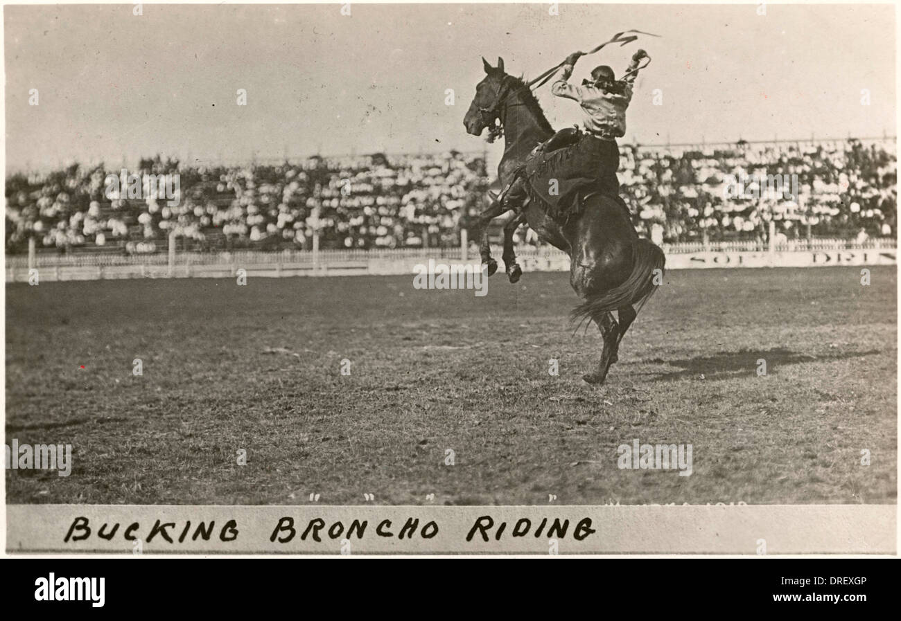 Cowboy riding a bucking Broncho Stock Photo - Alamy