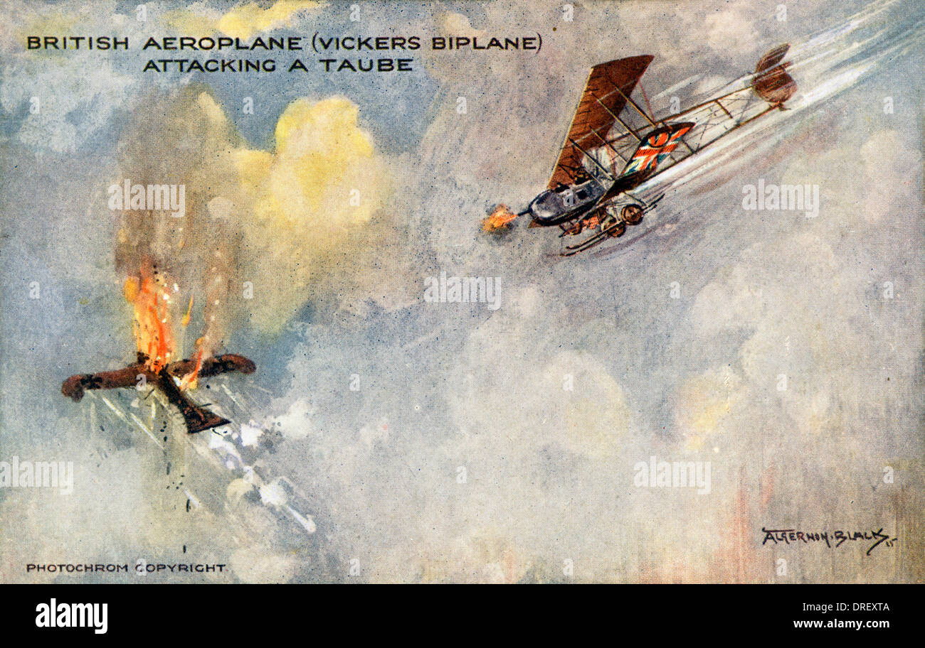 Taube aircraft hi-res stock photography and images - Alamy