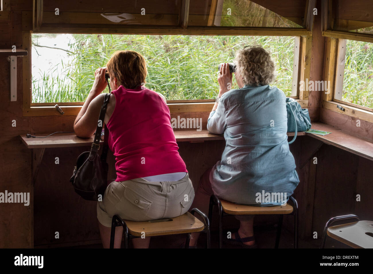Two women watching birds with binoculars from a hide in WWT Slimbridge ...