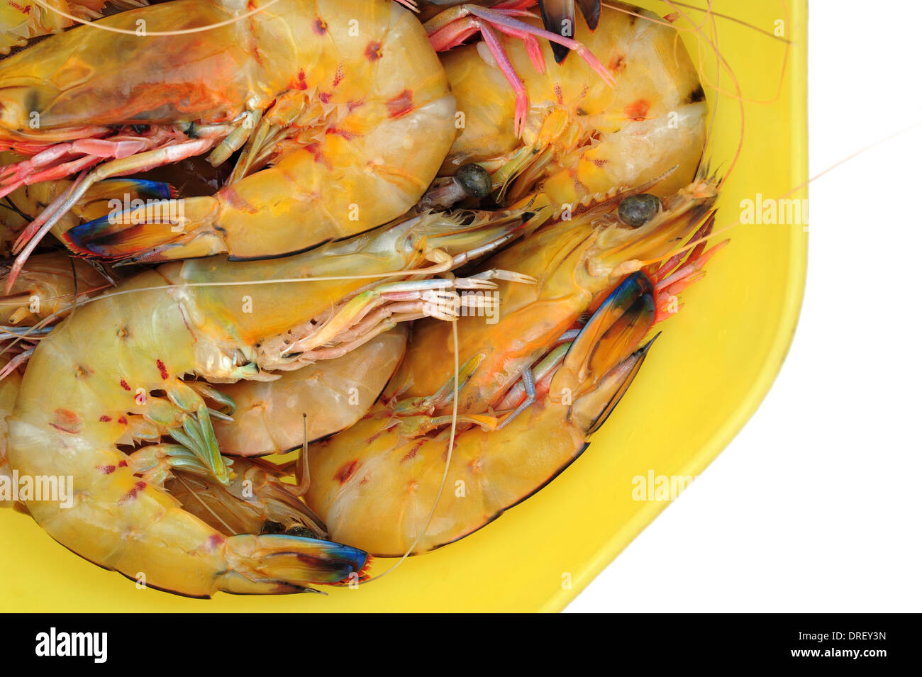 Banana prawn hi-res stock photography and images - Alamy