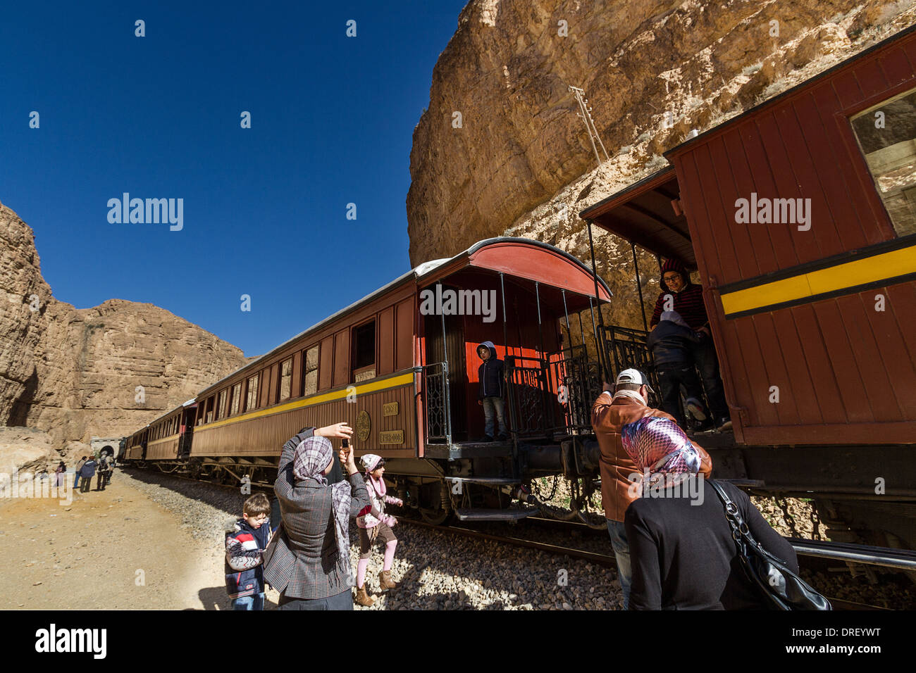 Red lizard hi-res stock photography and images - Alamy