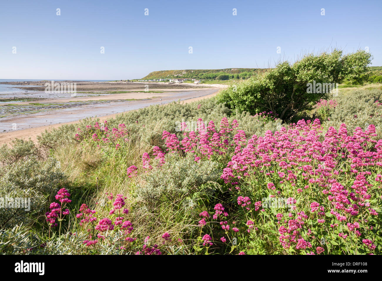 Port Eynon beach the Gower Peninsula Wales UK Stock Photo - Alamy