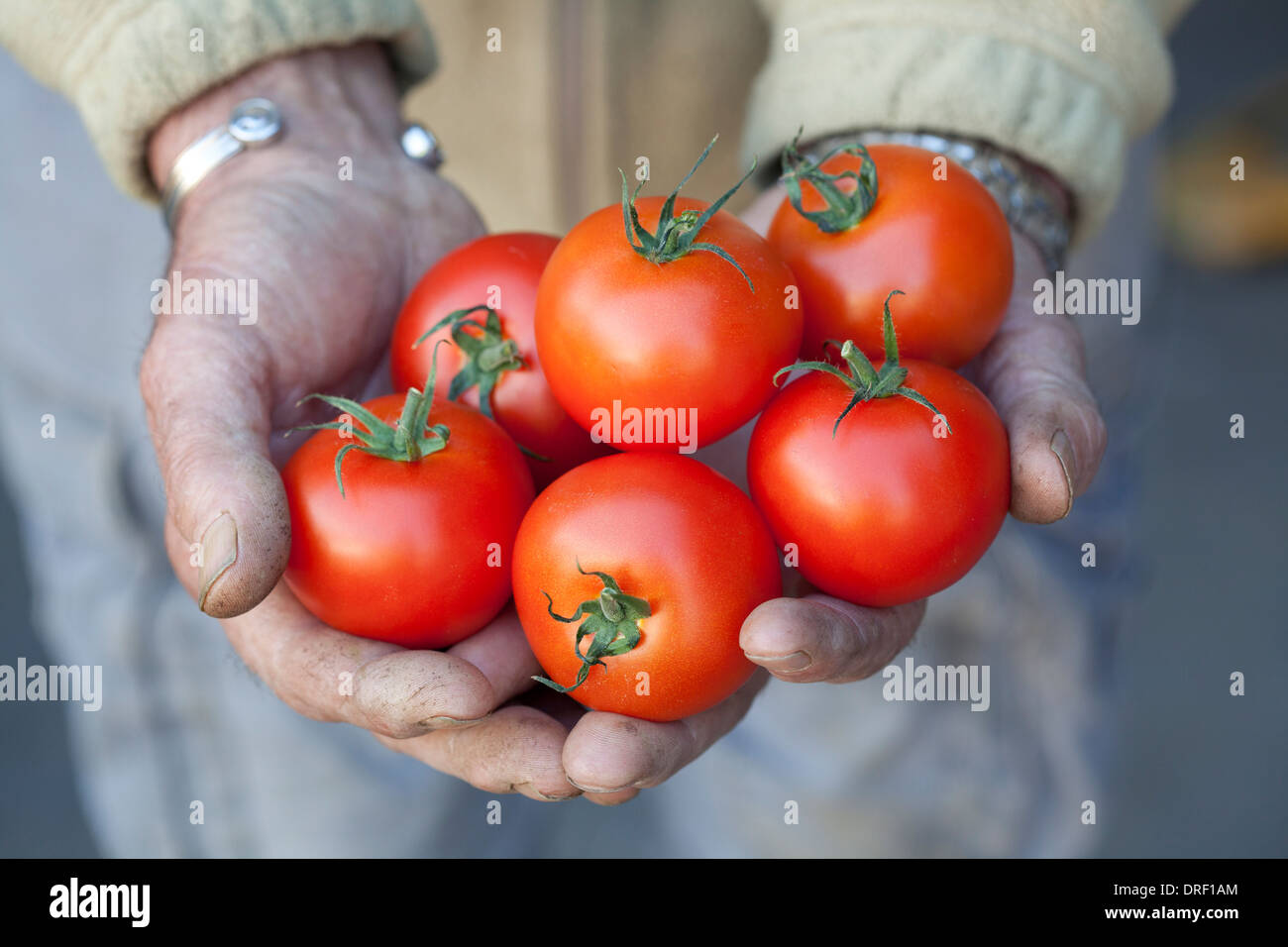 Piccollo hi-res stock photography and images - Alamy