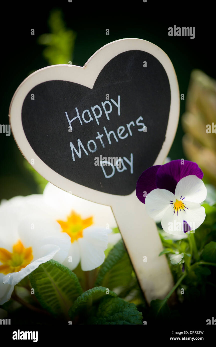 Potted plants sign hi-res stock photography and images - Alamy