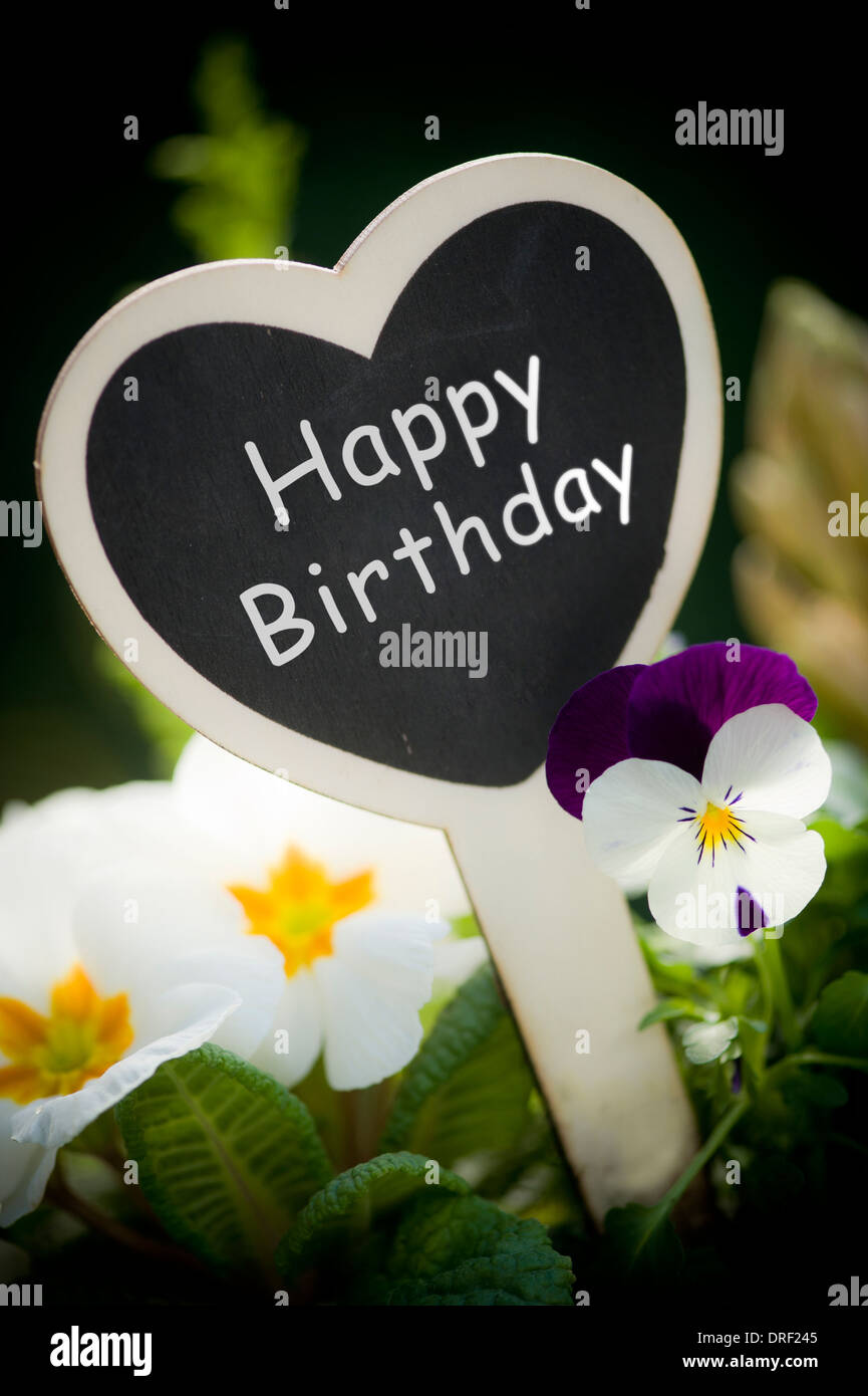 Potted Plant display with "Happy Birthday" sign Stock Photo - Alamy