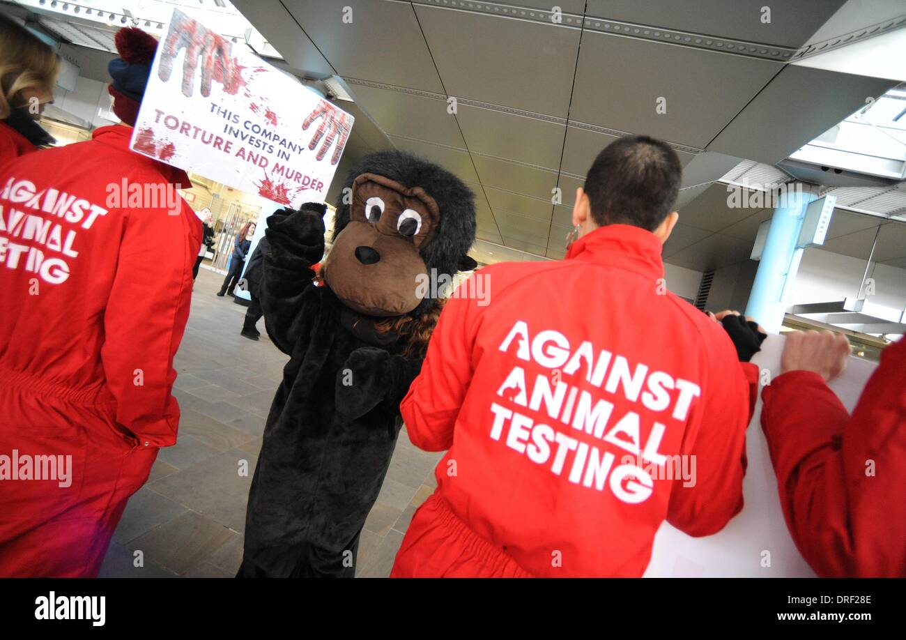 Anti vivisection group hi-res stock photography and images - Alamy