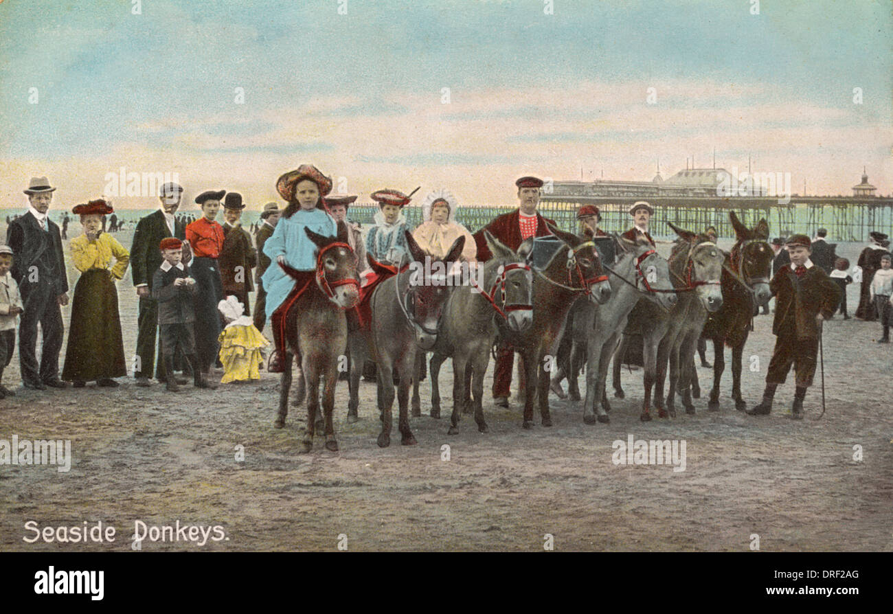 Seaside Donkey Rides - Blackpool Stock Photo - Alamy