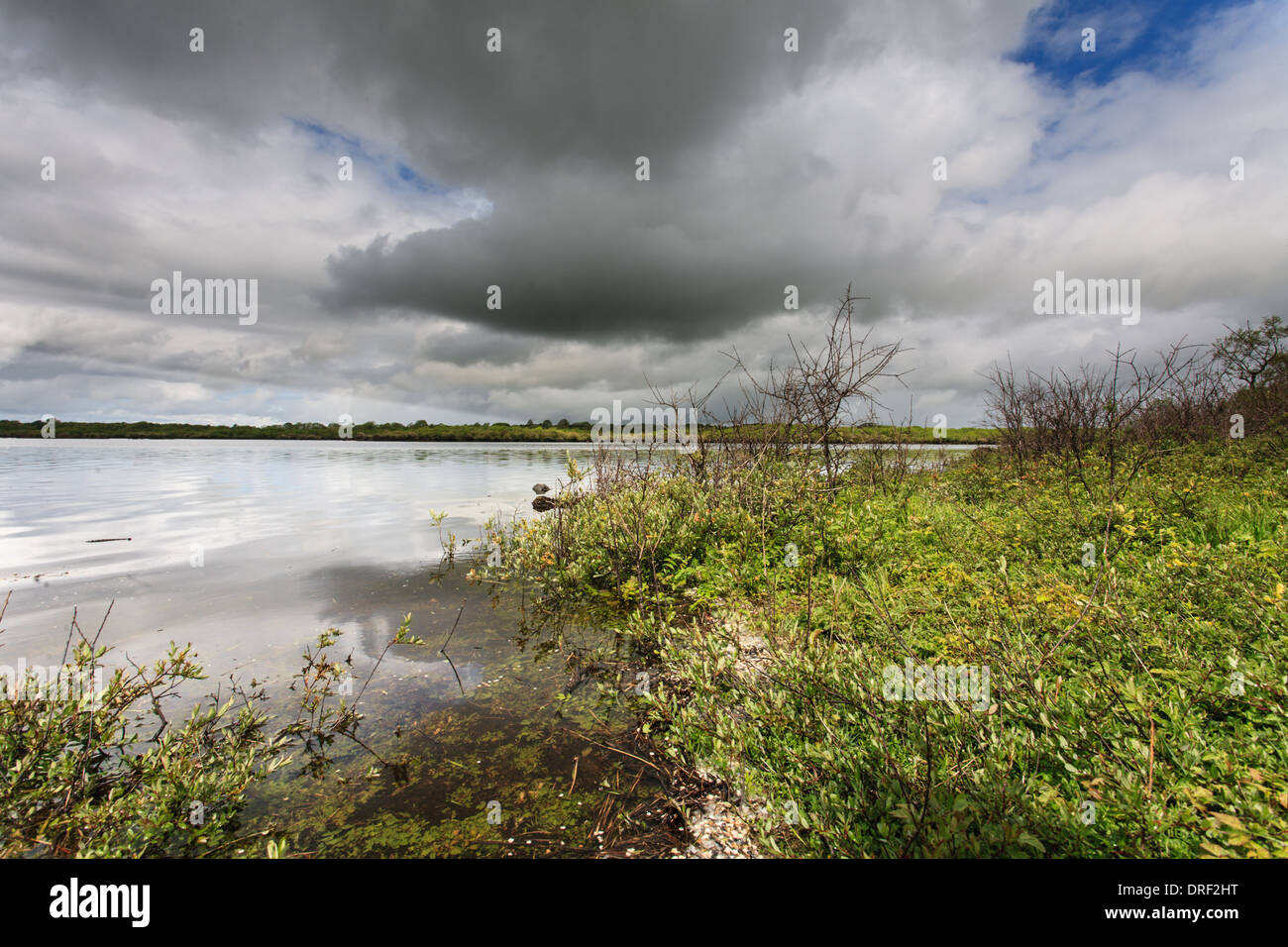 Coole park lake hi-res stock photography and images - Alamy