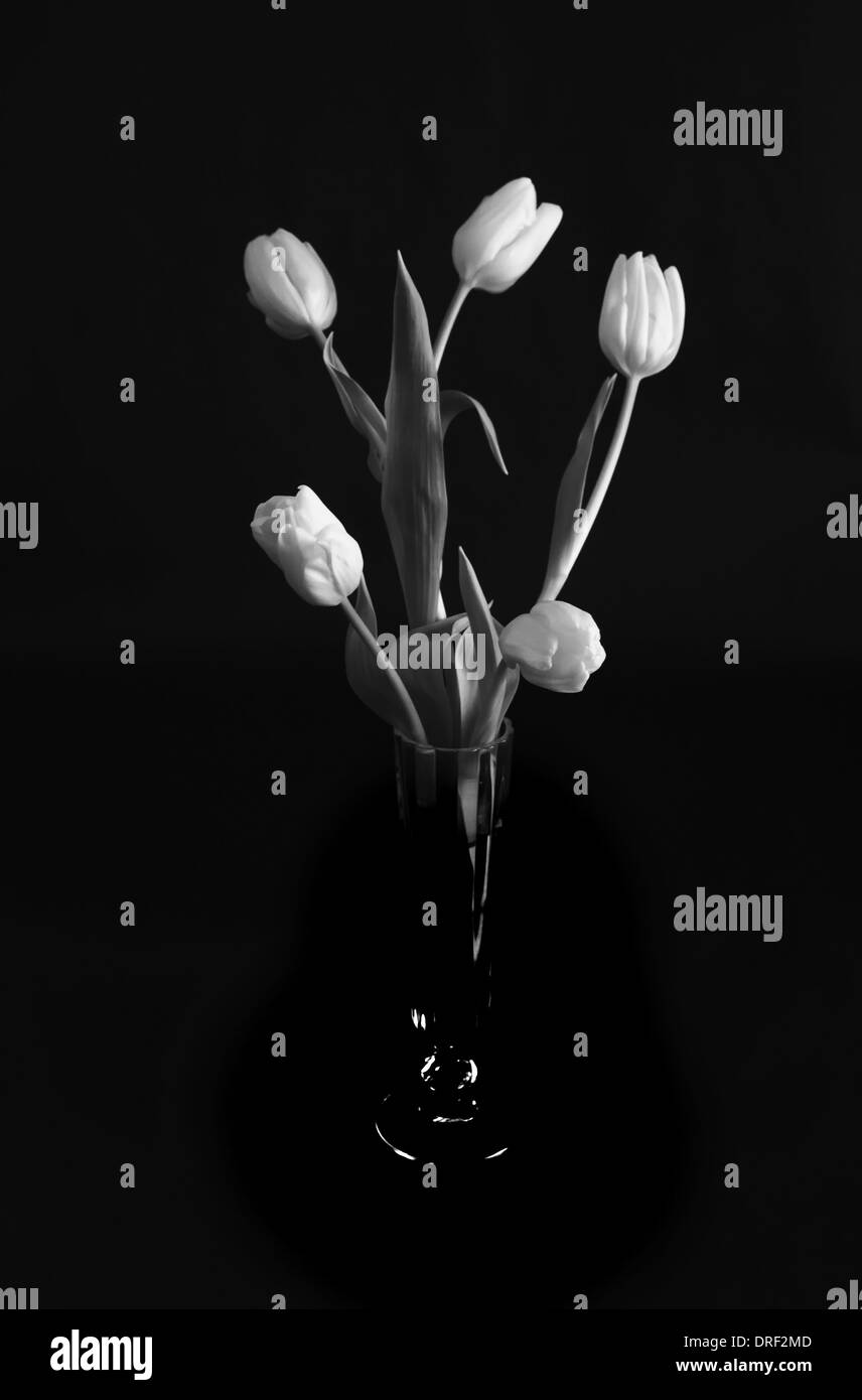 Low key flowers hi-res stock photography and images - Alamy