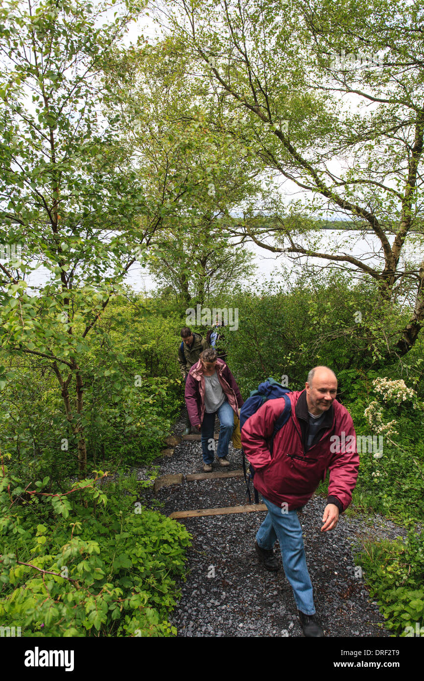 Hikers walking along track through woods at The Burren county Clare in ...