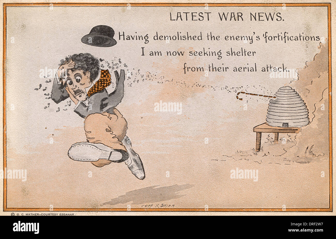 Fleeing the 'aerial attack' of a swarm of angry Bees Stock Photo - Alamy