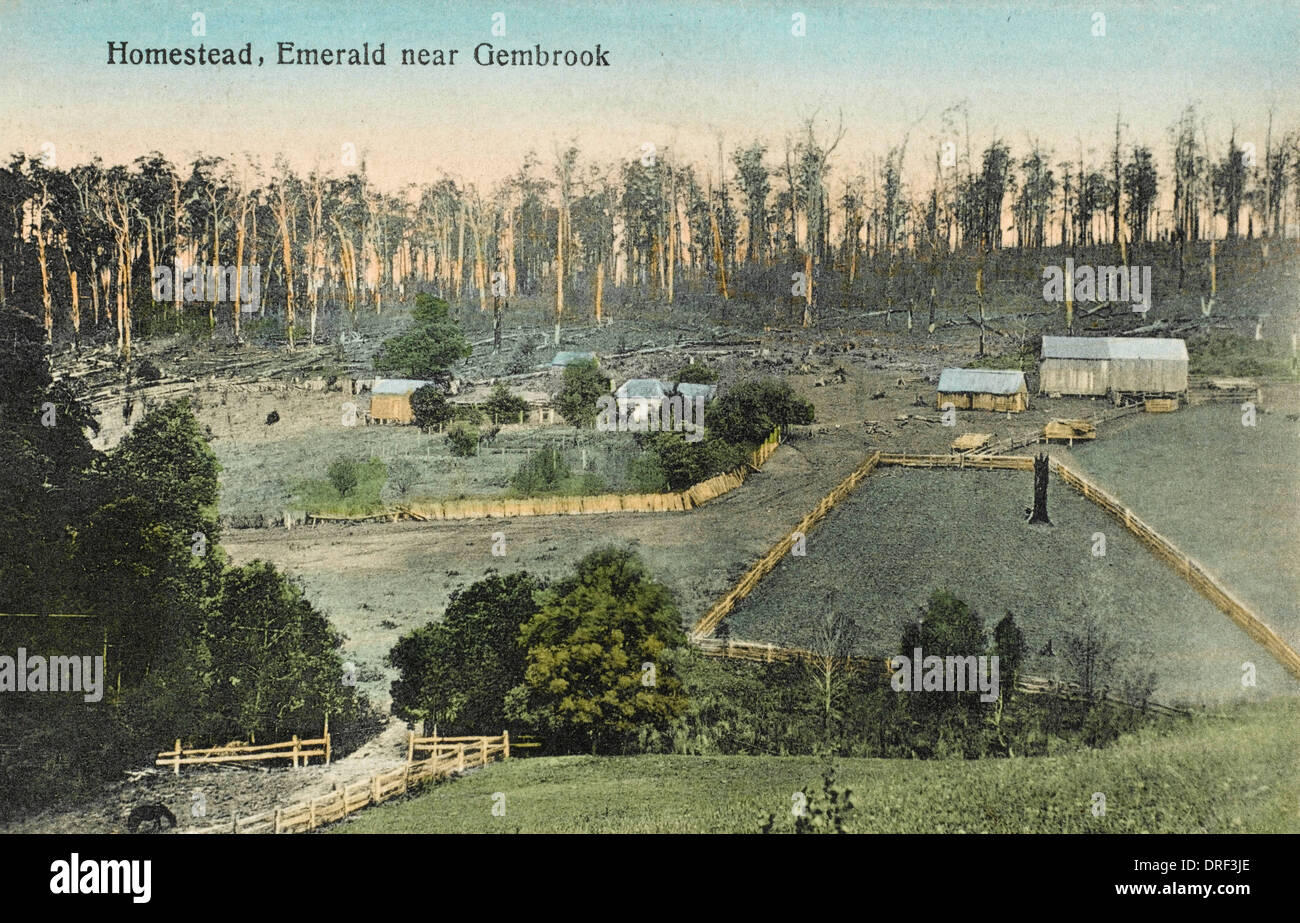 Gembrook victoria australia hi-res stock photography and images - Alamy