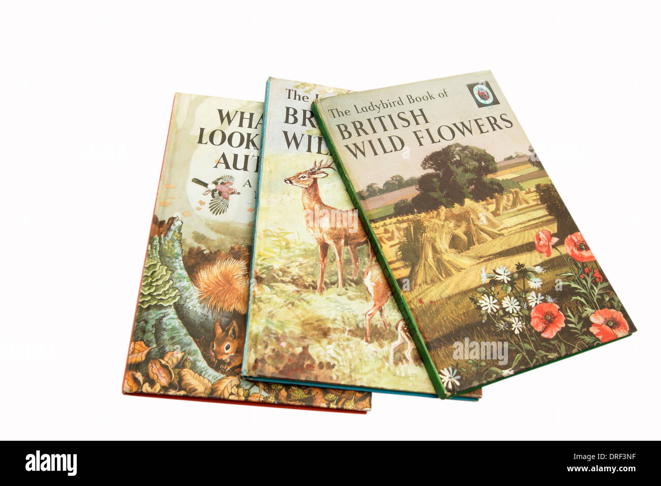 Ladybird book 1950s Cut Out Stock Images & Pictures - Alamy