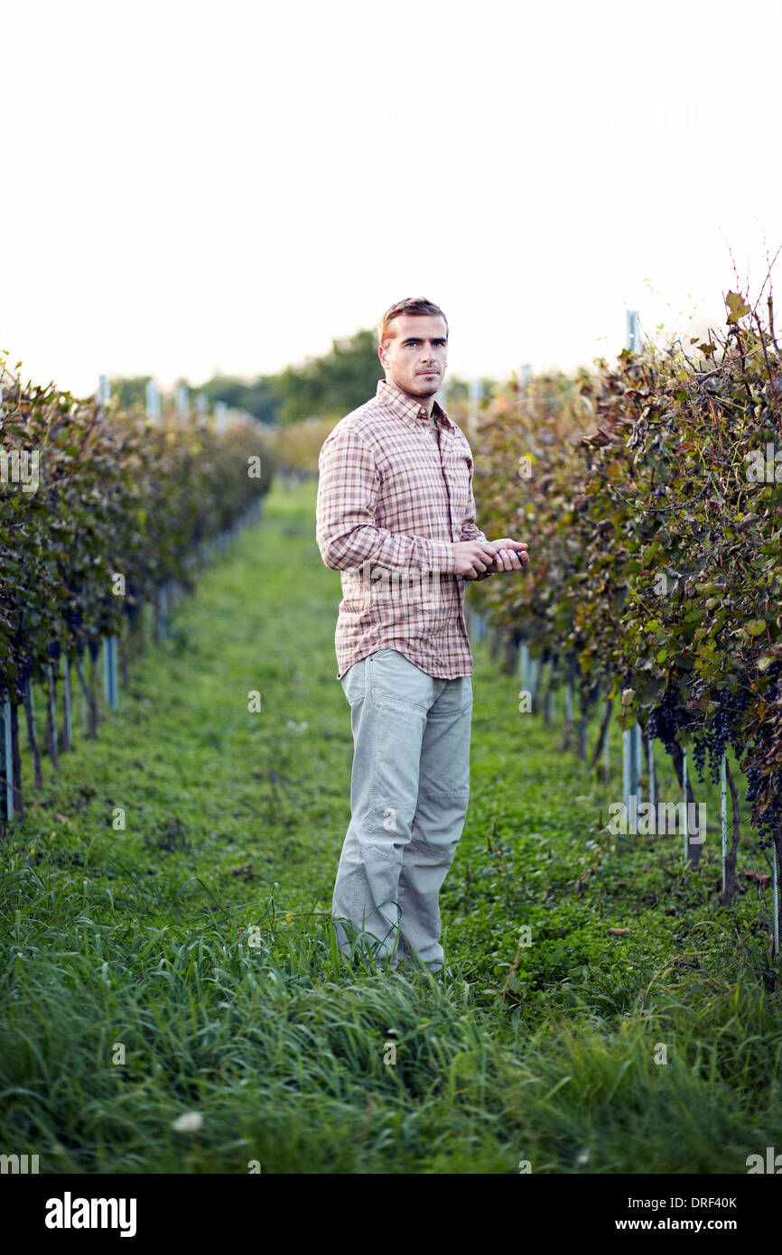 Vineyard of europe hi-res stock photography and images - Alamy