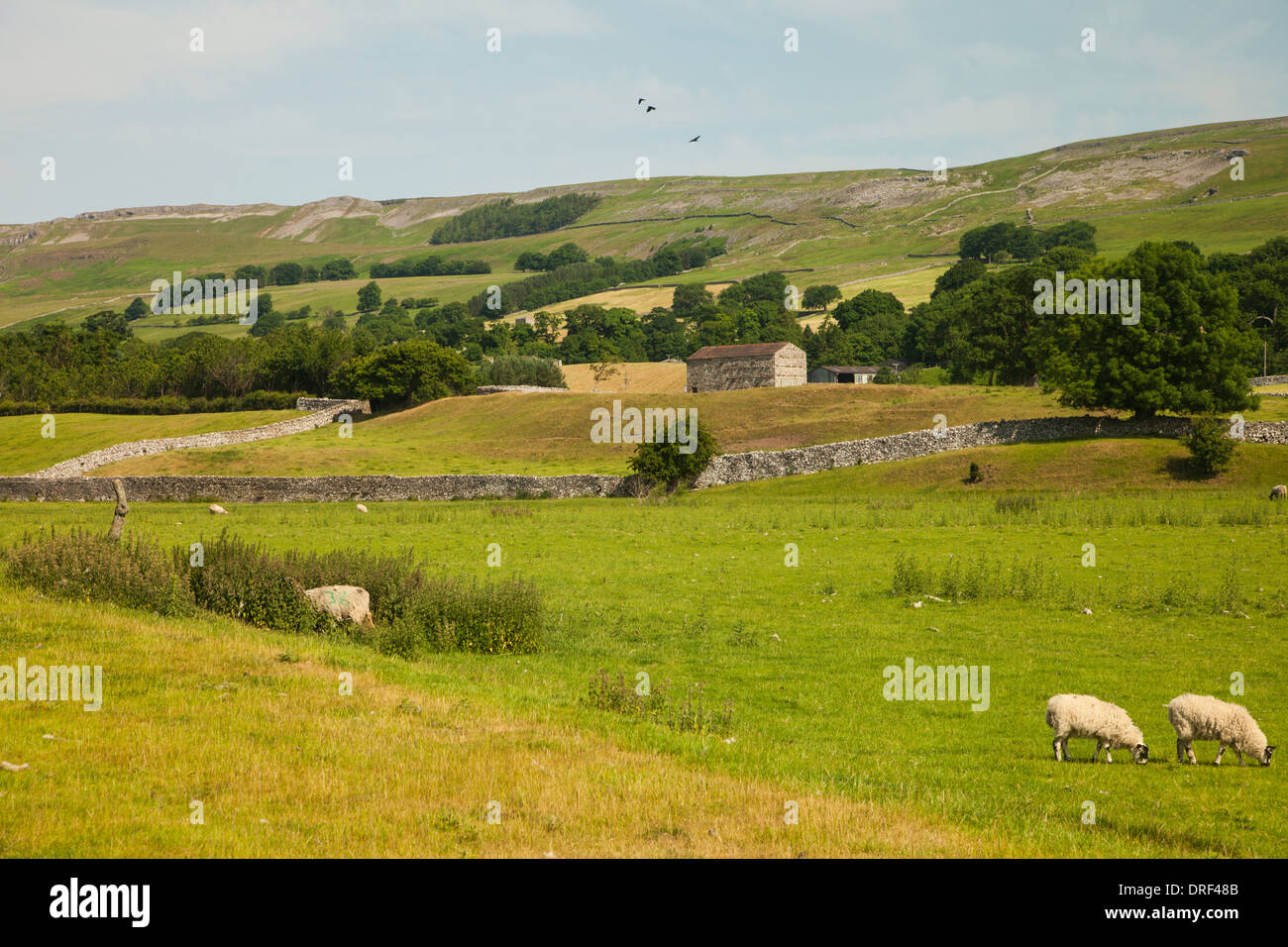 Limestone farmland hi-res stock photography and images - Alamy