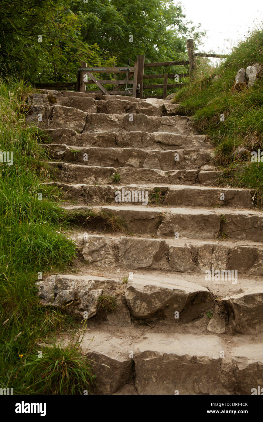 Steps at Malham Cove Yorkshire Stock Photo - Alamy