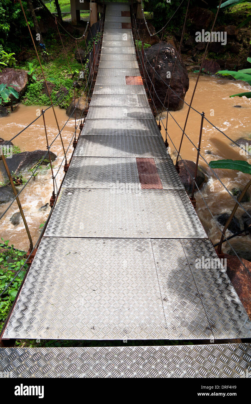 Rain Rainforest Bridge Wood High Resolution Stock Photography and ...