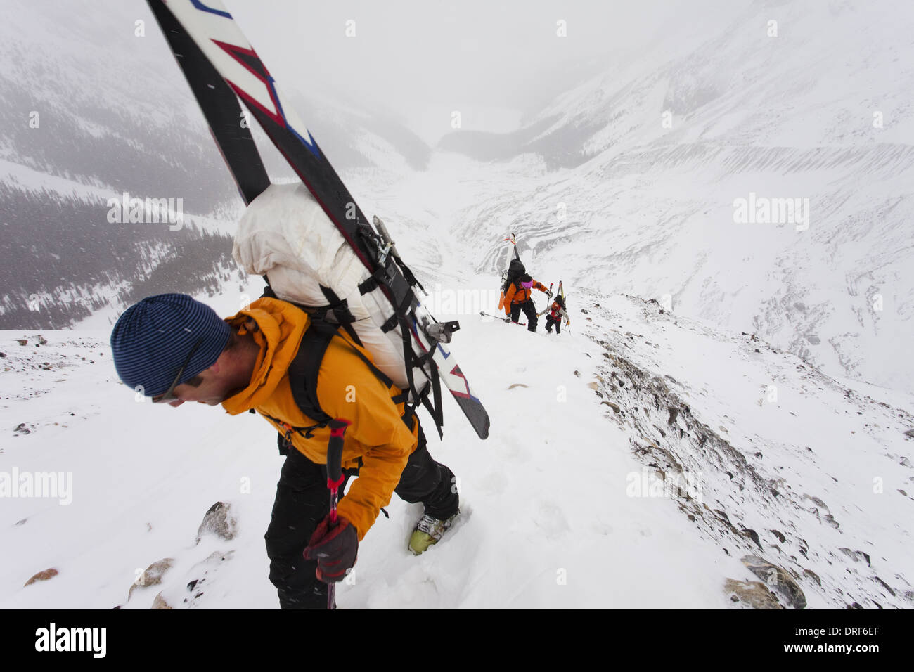 Alberta Canada. Three skiers Wapta Traverse mountain ski tour Stock ...