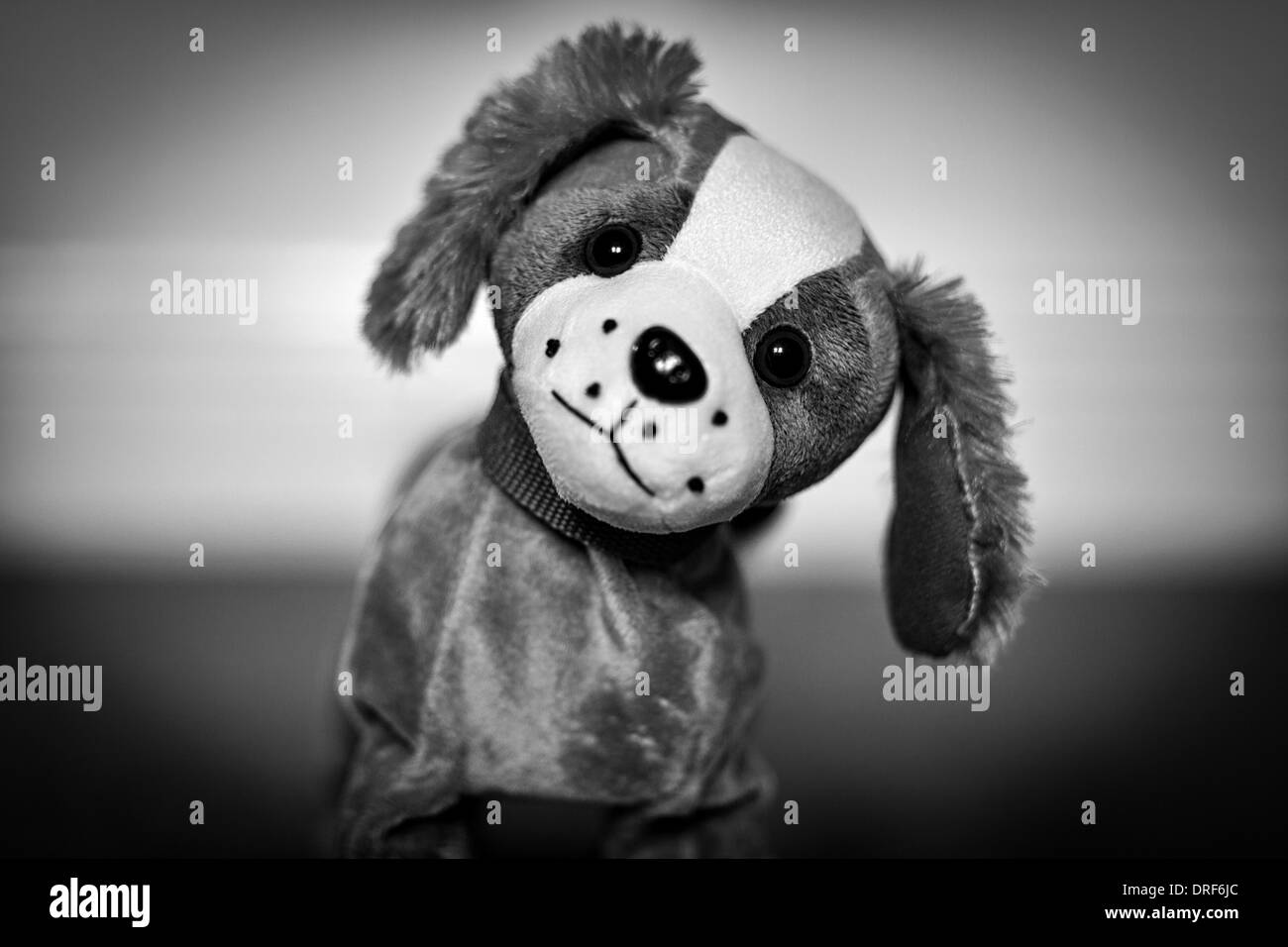 BEG YOUR PARDON Stock Photo - Alamy