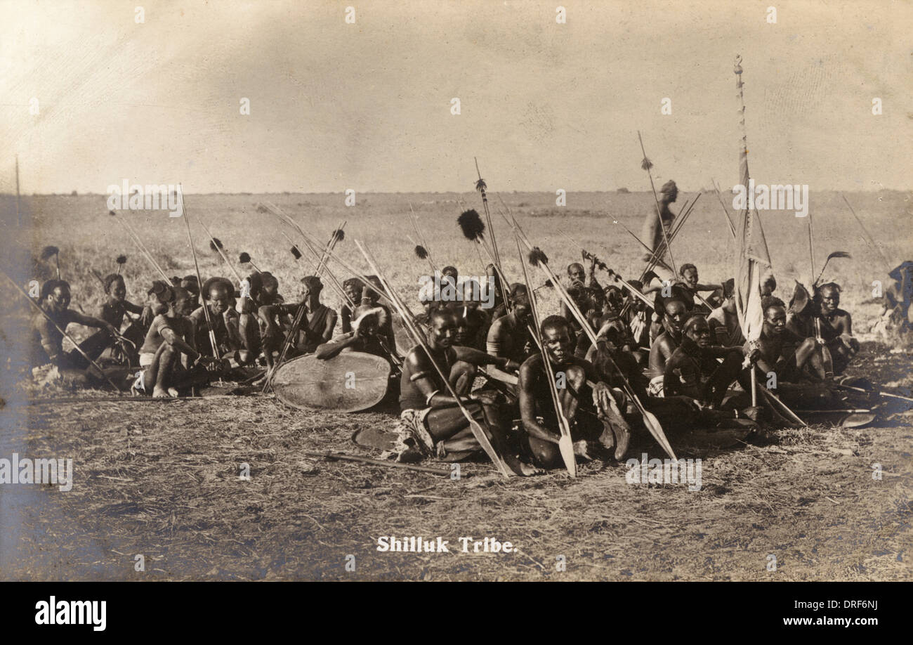 The Shilluk Tribe - Sudan, Africa Stock Photo - Alamy