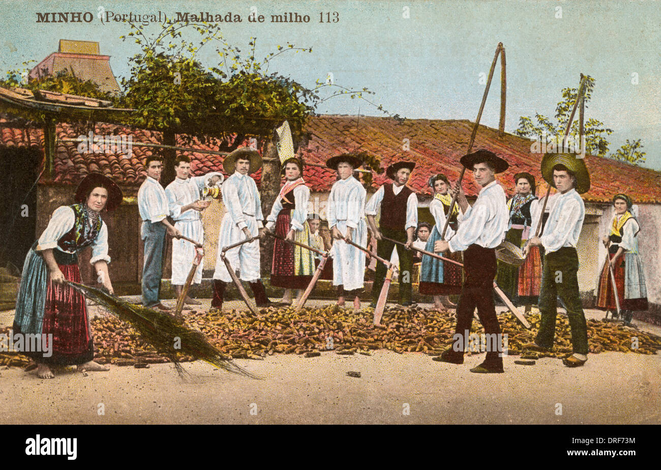 Thresh Corn Stock Photos & Thresh Corn Stock Images - Alamy