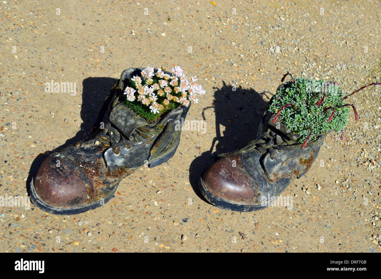 Boots with flowers hi-res stock photography and images - Alamy