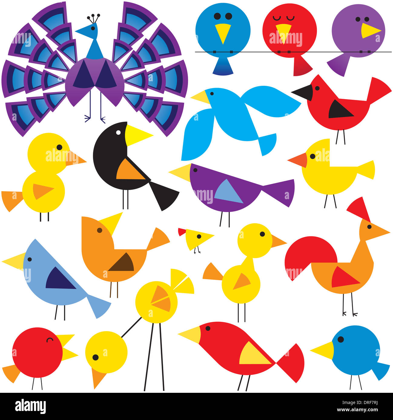 Various birds to add to your designs Stock Photo - Alamy