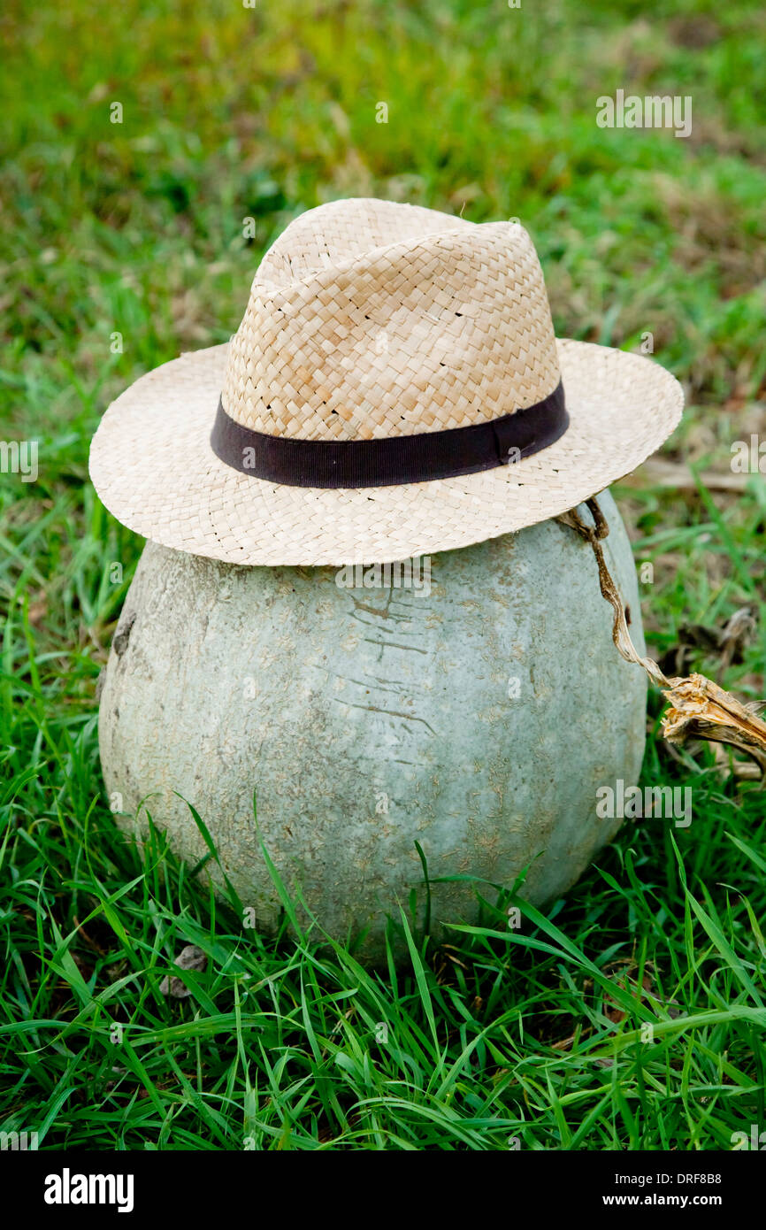 Stone hat hi-res stock photography and images - Alamy