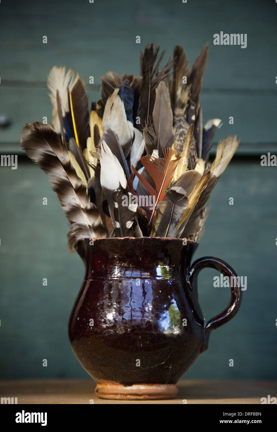 Maryland USA collection of bird feathers in brown pottery jug Stock ...