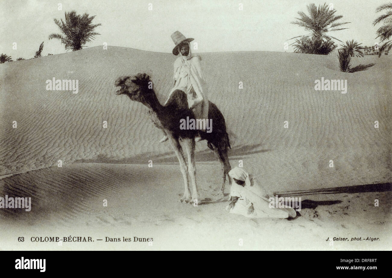 Bechar algeria hi-res stock photography and images - Alamy