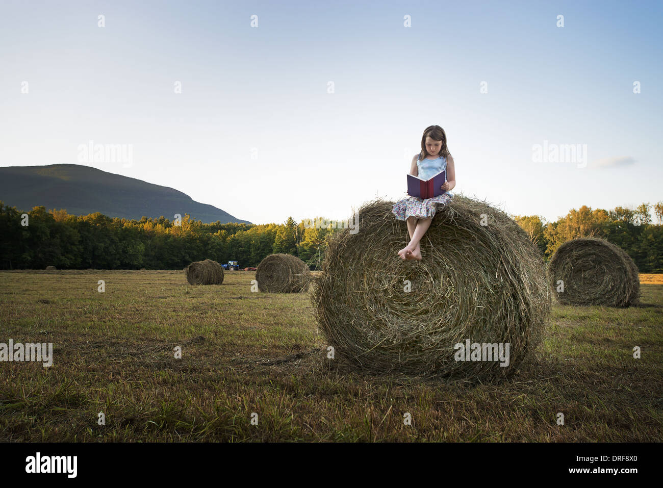 The Top Of The Hay Bale