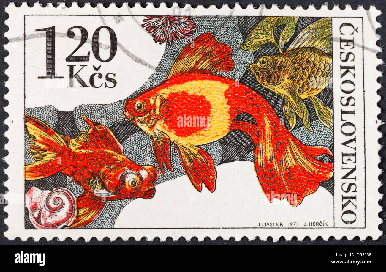 Goldfish stamp hi-res stock photography and images - Alamy