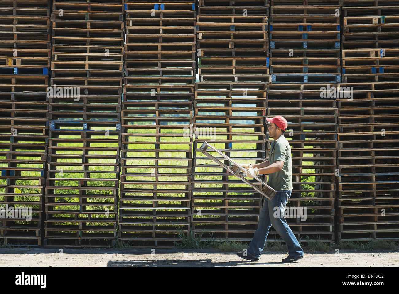 Carrying Frame High Resolution Stock Photography and Images - Alamy