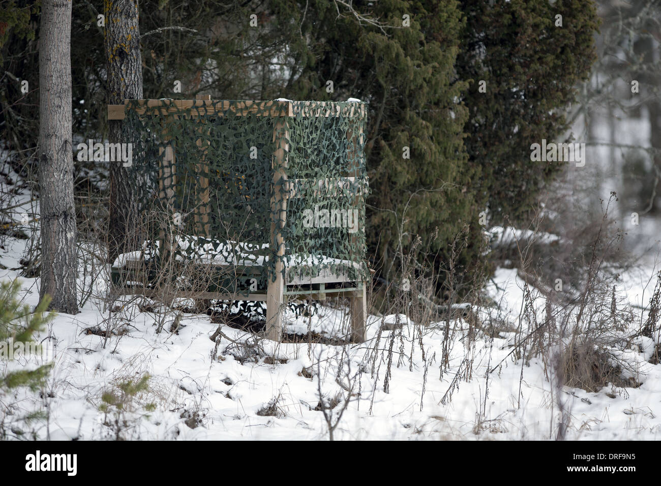 Wooden hunting hide standing hi-res stock photography and images - Alamy