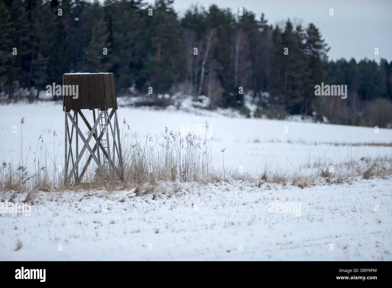 Deer hunting stand illustration hi-res stock photography and images - Alamy