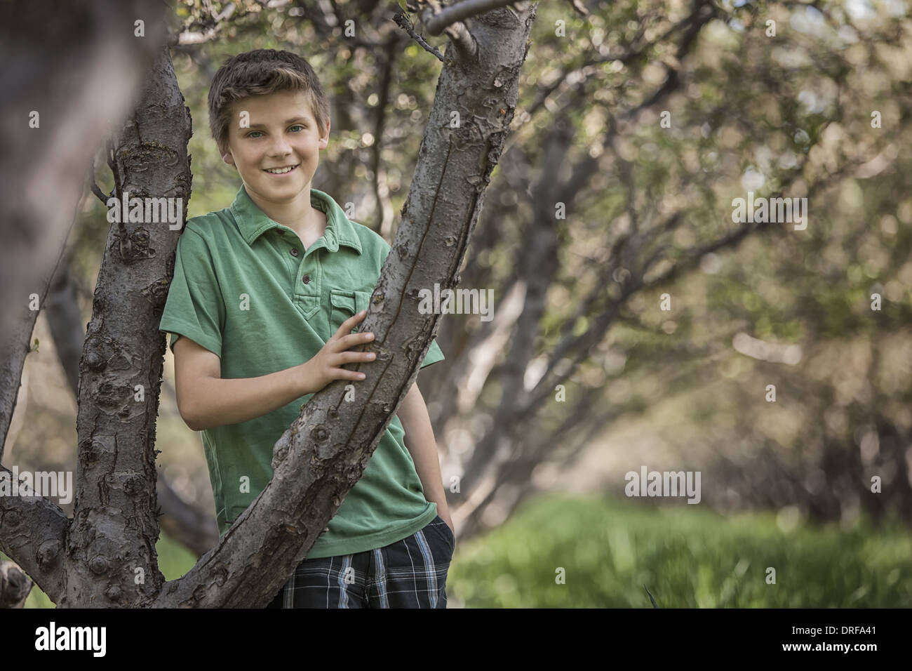 Utah USA boy woodland tunnel tree branches meeting overhead Stock Photo ...