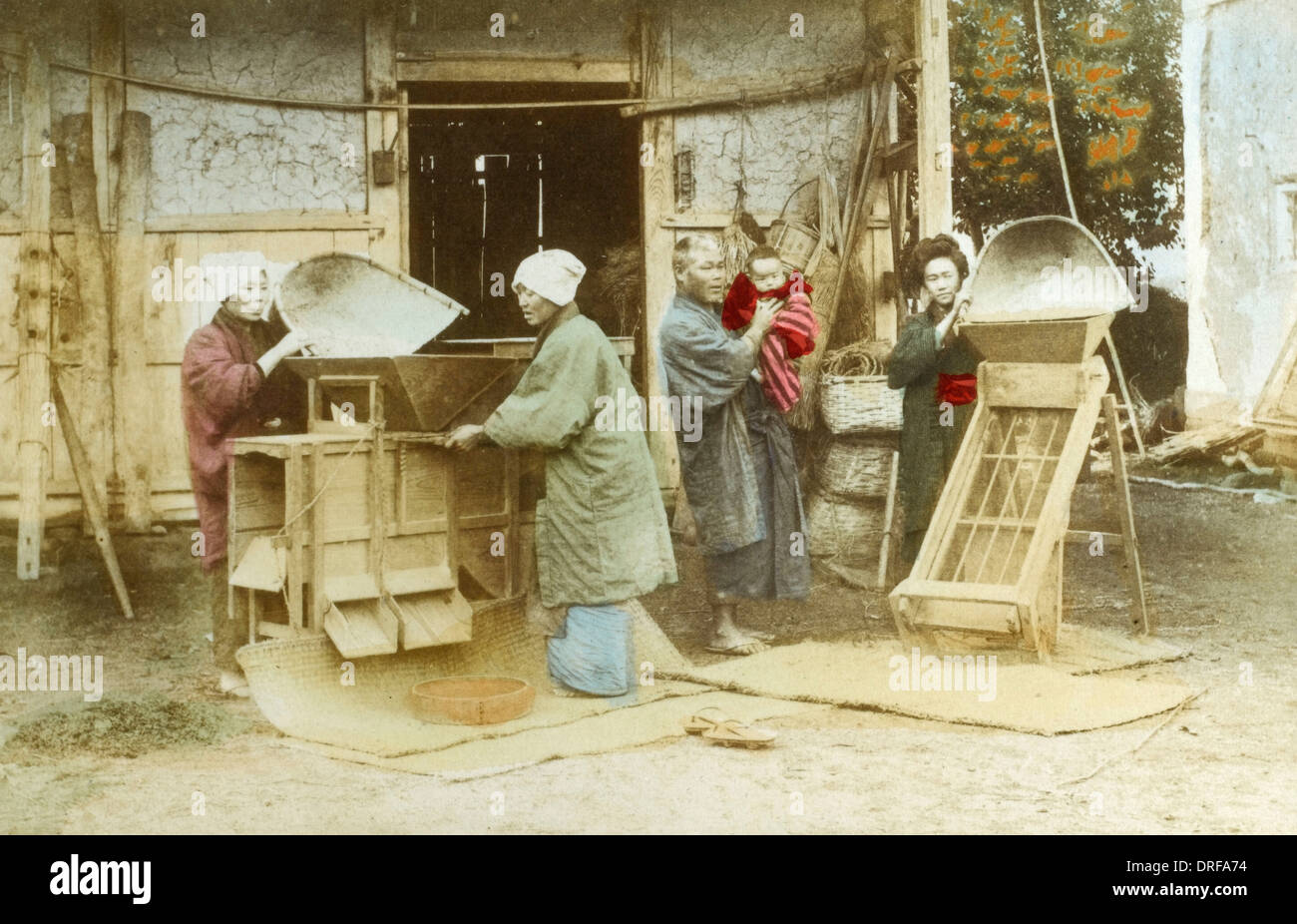 Women sorting grain hi-res stock photography and images - Alamy