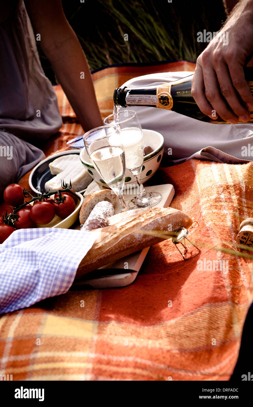 Picnic outdoors with champagne, Bavaria, Germany Stock Photo - Alamy
