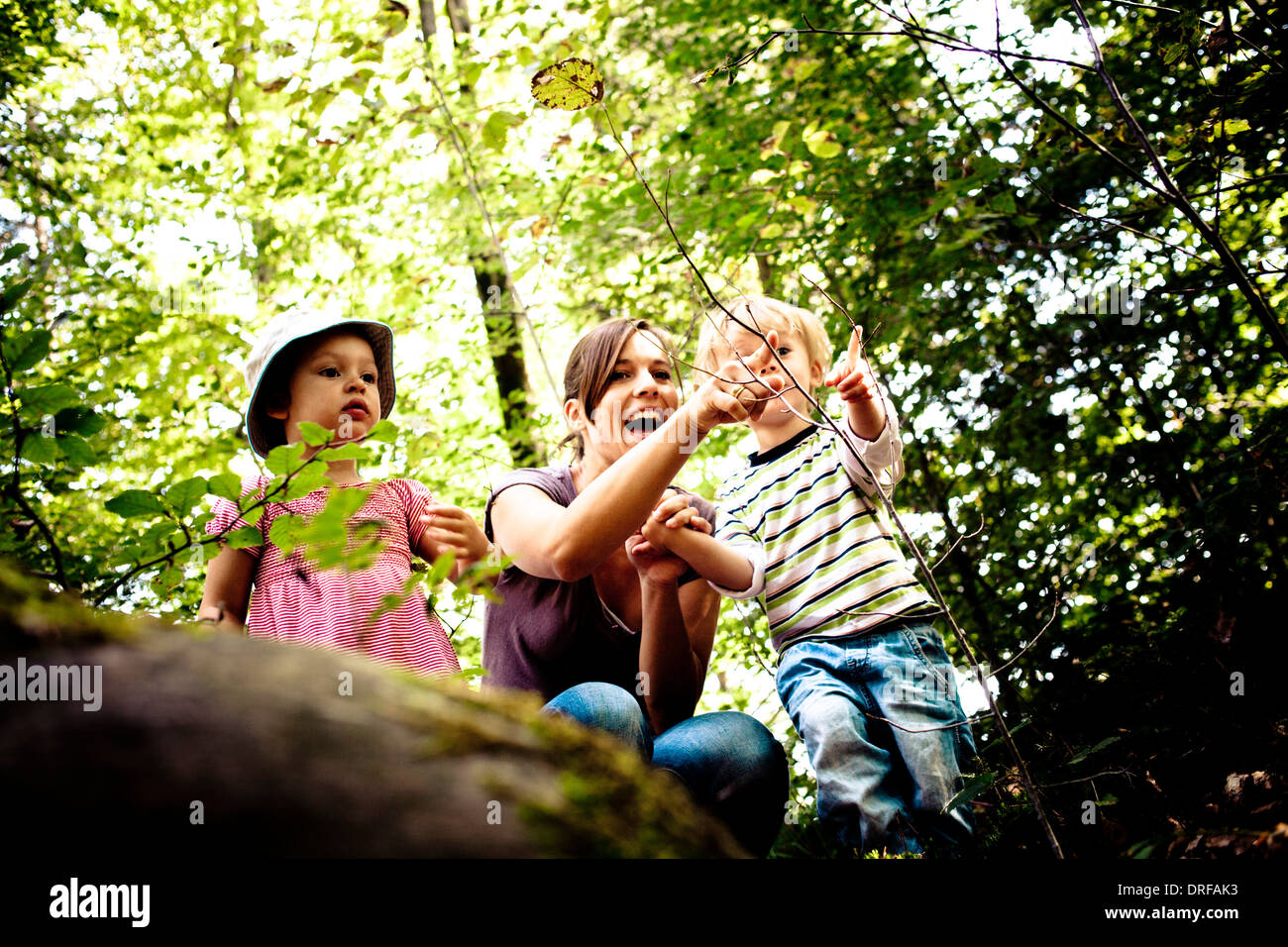 Mother and children in forest, having fun, Bavaria, Germany Stock Photo ...