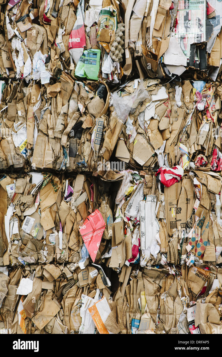 Washington state USA Recycling facility bundles cardboard sorted Stock ...