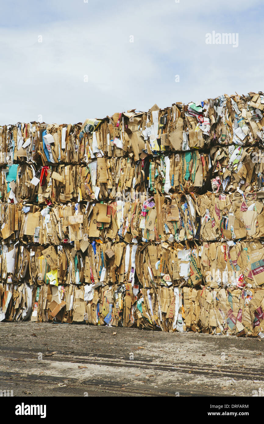 Washington state USA Recycling facility bundles cardboard sorted Stock ...