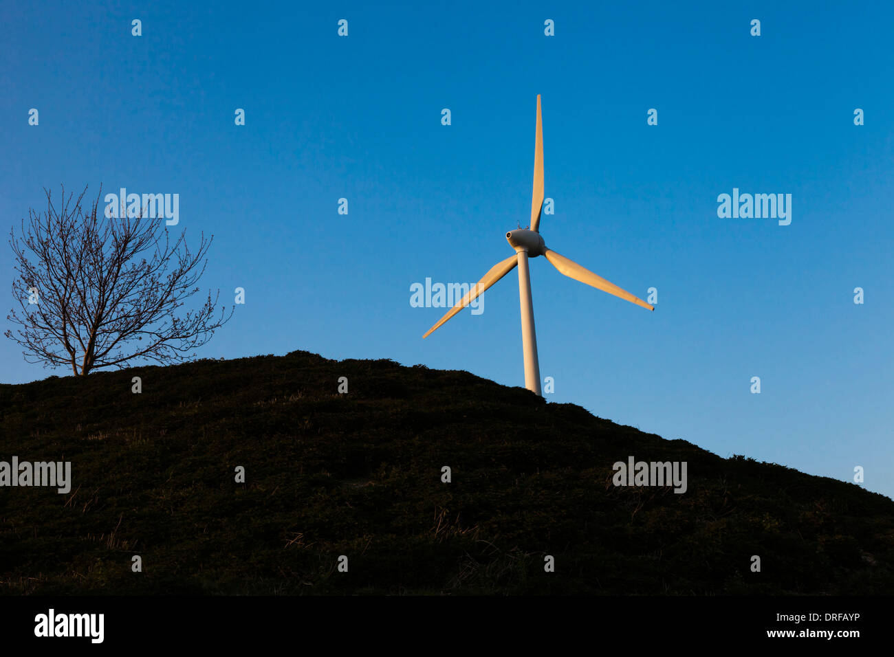 Wind turbine munich hi-res stock photography and images - Alamy