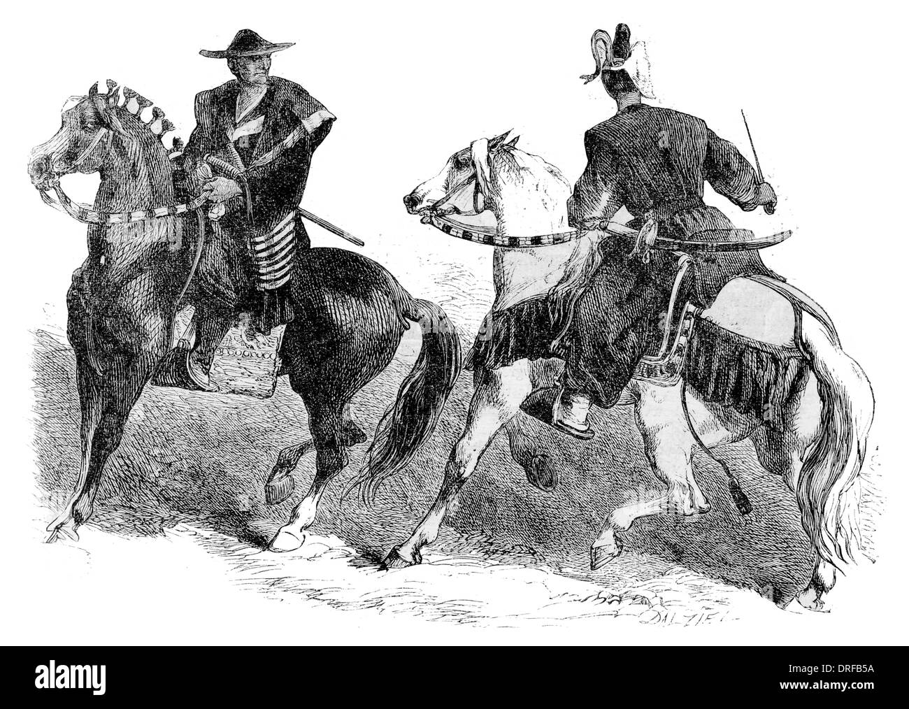 Japanese Cavalry circa 1854 Stock Photo - Alamy