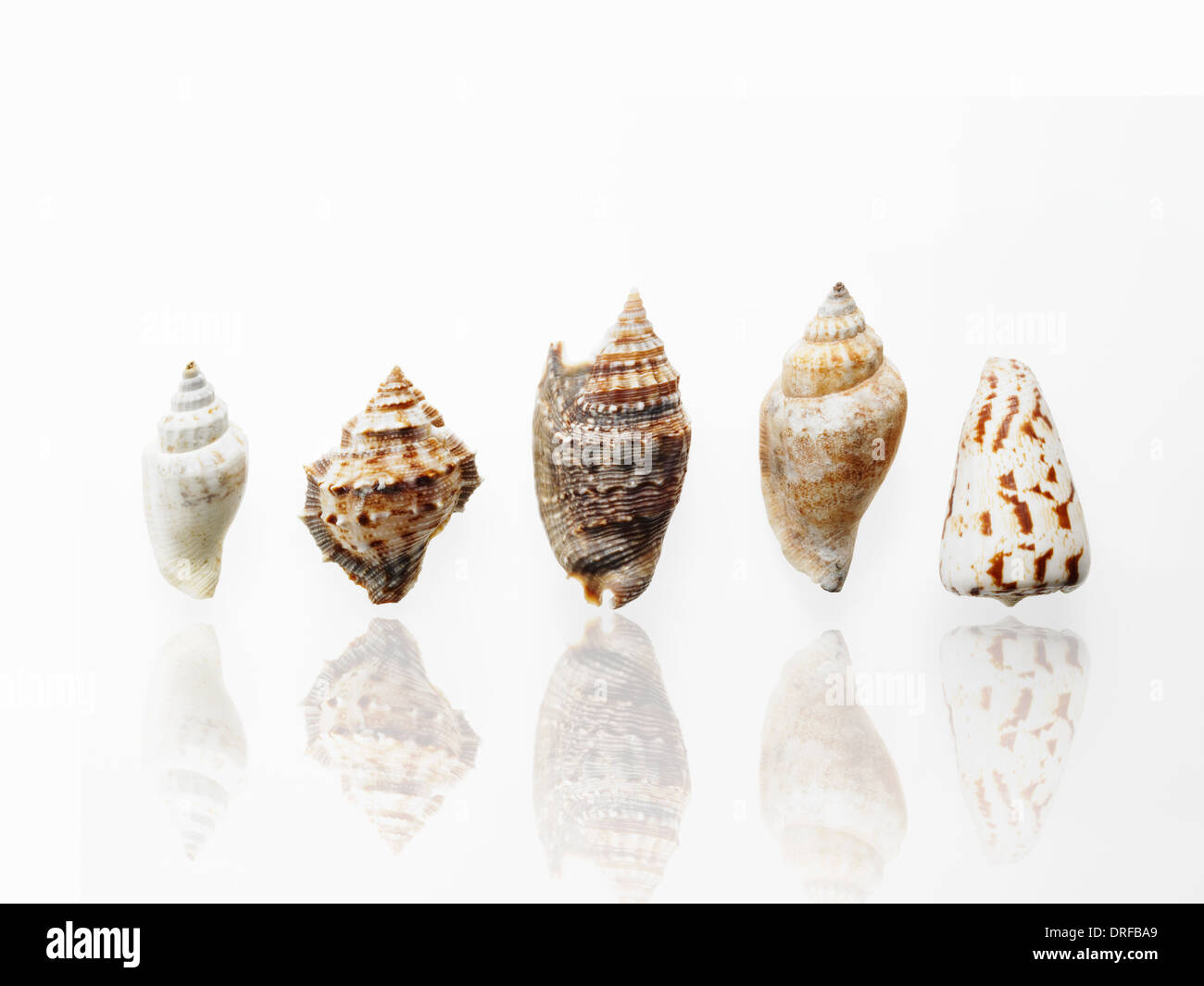 Shape and size hi-res stock photography and images - Alamy