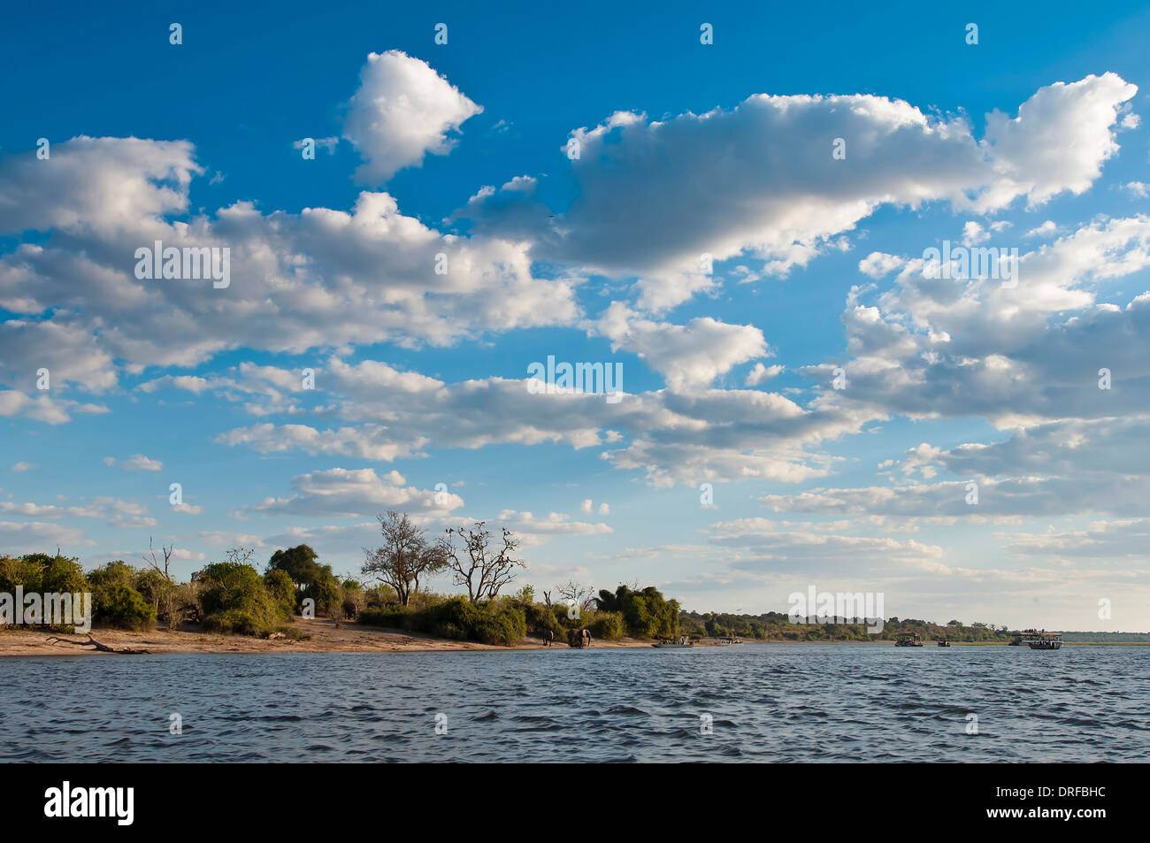 Okavango fauna botswana hi-res stock photography and images - Alamy