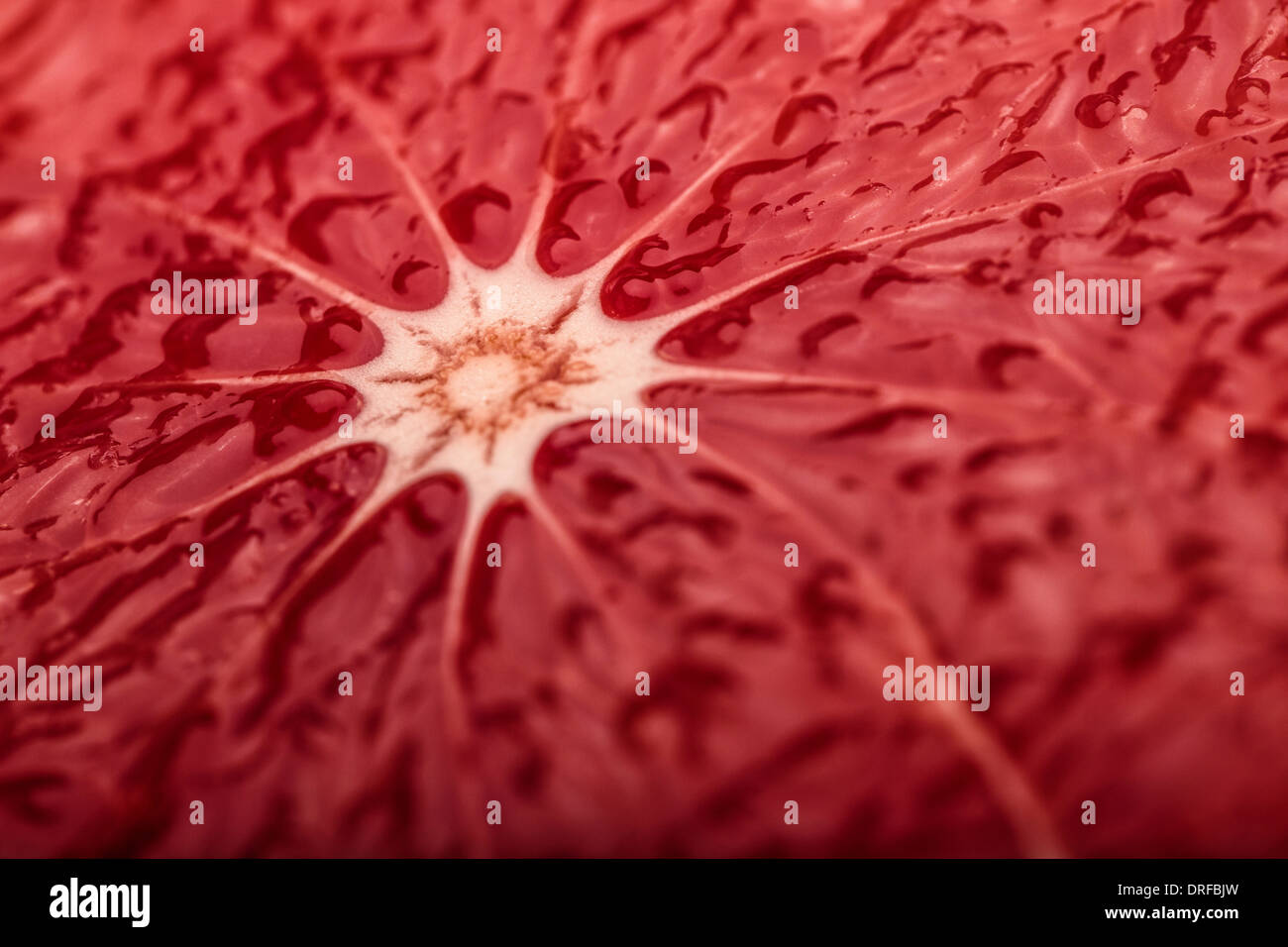 Cross section grapefruit hi-res stock photography and images - Alamy