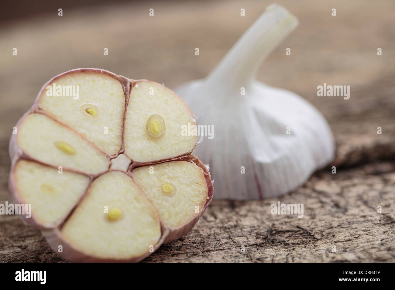 Bulb cross section hi-res stock photography and images - Alamy